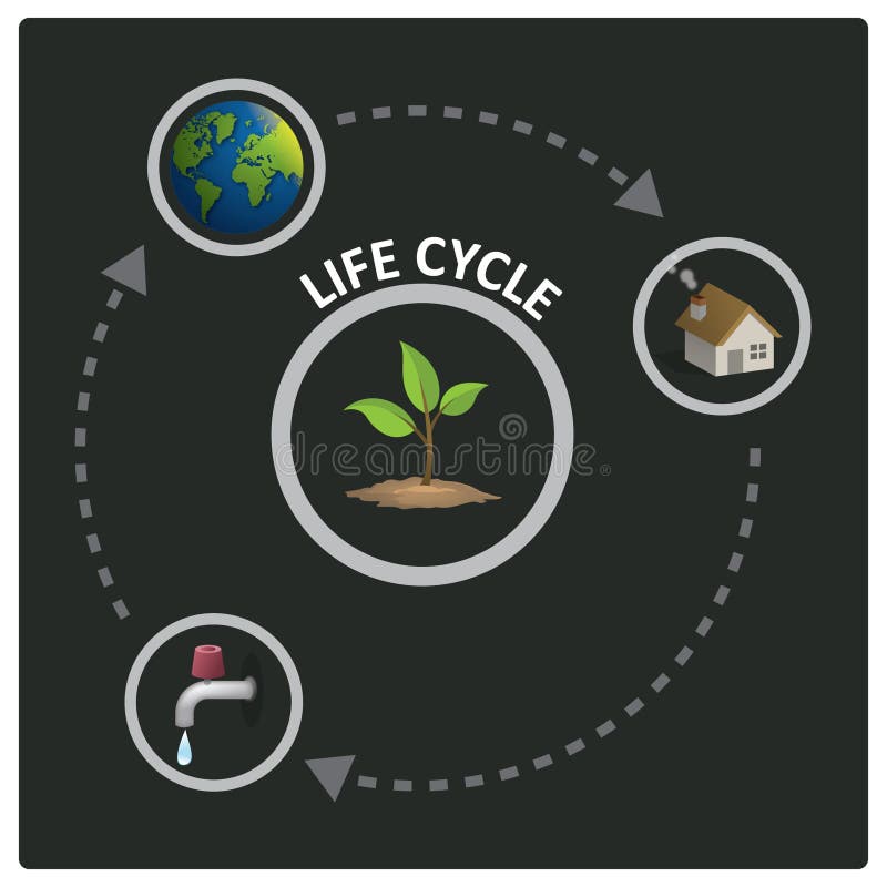 Life Cycle Infographic. Vector Illustration Decorative Design Stock ...