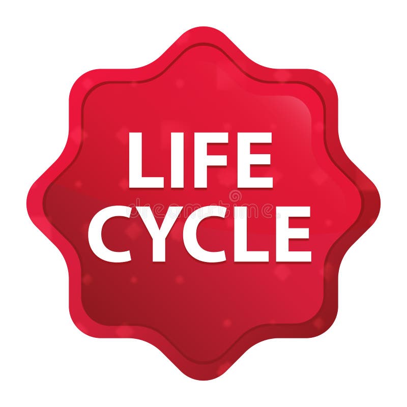 Life Cycle Misty Rose Red Starburst Sticker Button Stock Illustration ...