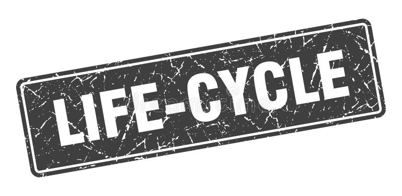 Life-cycle Sign. Life-cycle Grunge Stamp Stock Vector - Illustration of ...