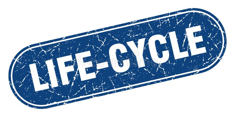Life-cycle Sign. Life-cycle Grunge Stamp Stock Vector - Illustration of ...