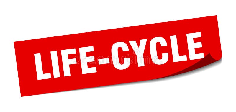 Life-cycle Sticker. Life-cycle Square Sign Stock Vector - Illustration ...
