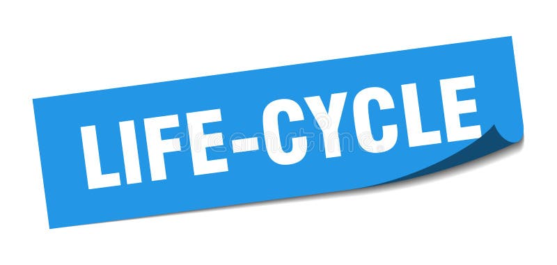 Life-cycle Sticker. Life-cycle Square Sign Stock Vector - Illustration ...