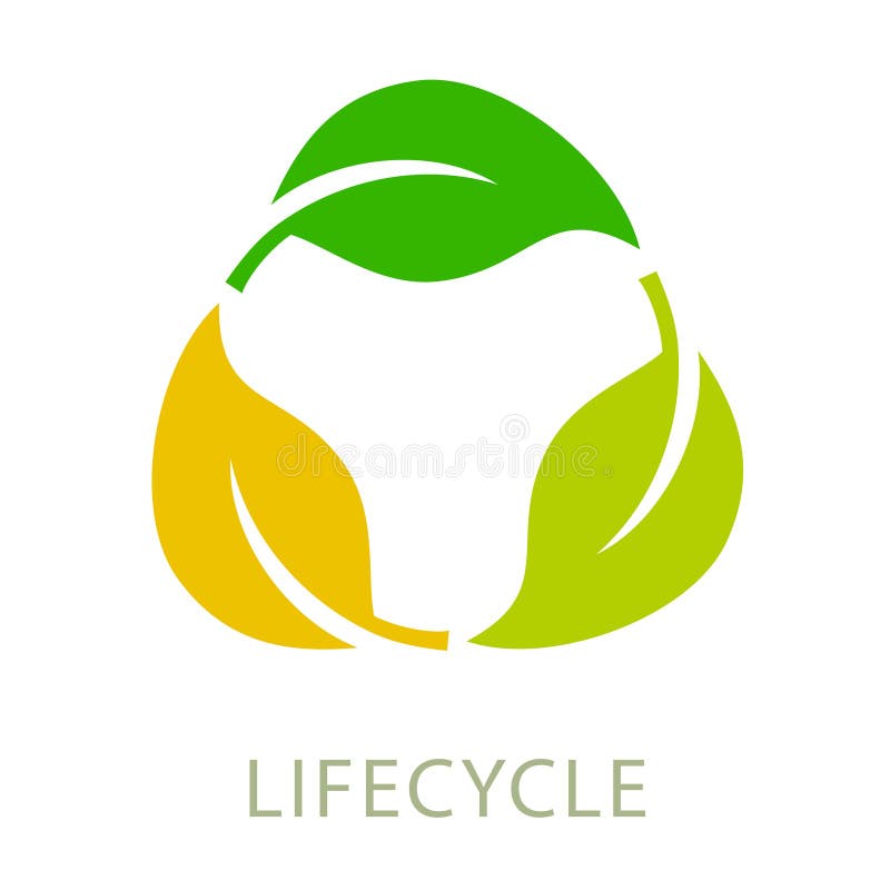 Life Cycle Stock Illustrations – 49,248 Life Cycle Stock Illustrations ...