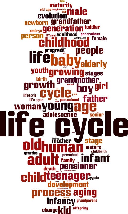 Life cycle word cloud stock vector. Illustration of development - 269565486