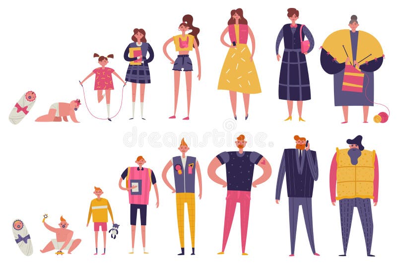 The Life Cycle Of Woman Generations And Stages Of Human Body Growth