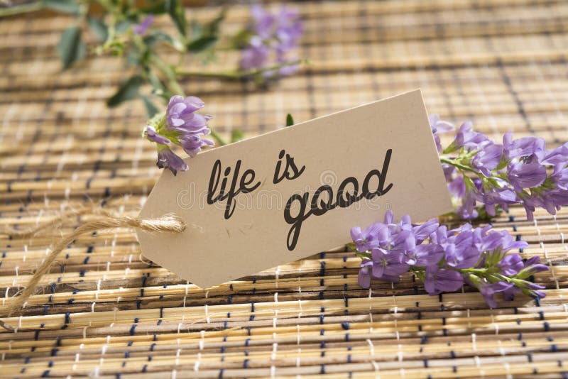 Good life sign stock photo. Image of contentment, conceptual - 107728474