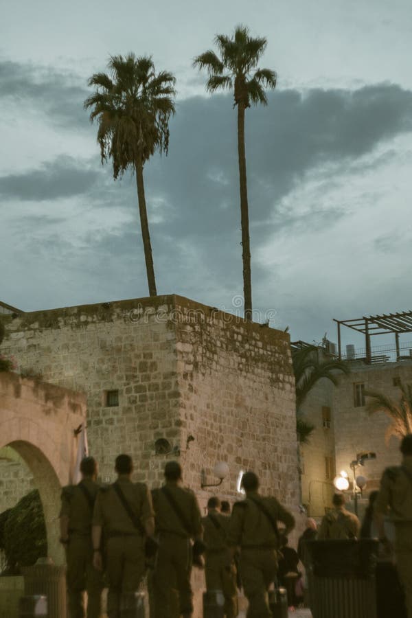 Cat in Old City in Jerusalem. Word in Hebrew Means - Palestinian ...