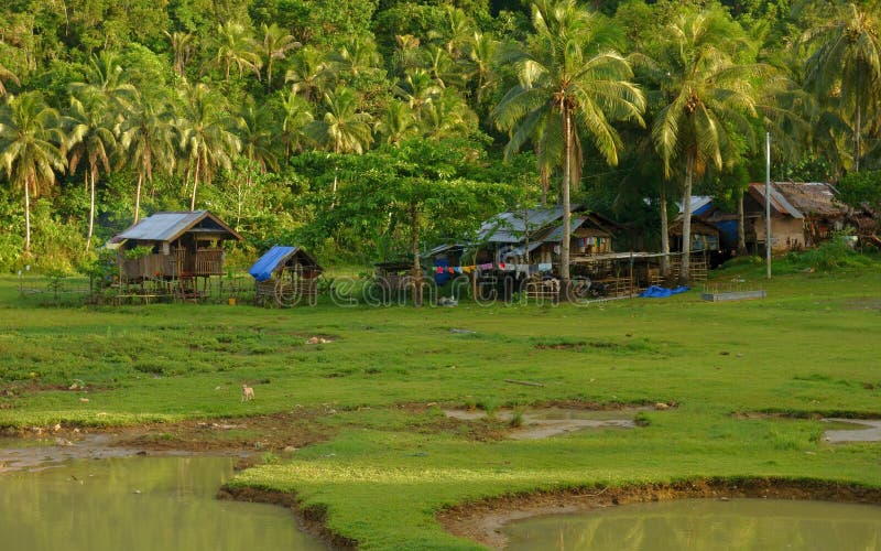Life in the Philippine Countryside Editorial Photo - Image of ...