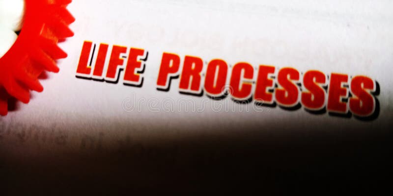 Life Processes Written on Red Colour Text on White Paper Sheet Stock ...
