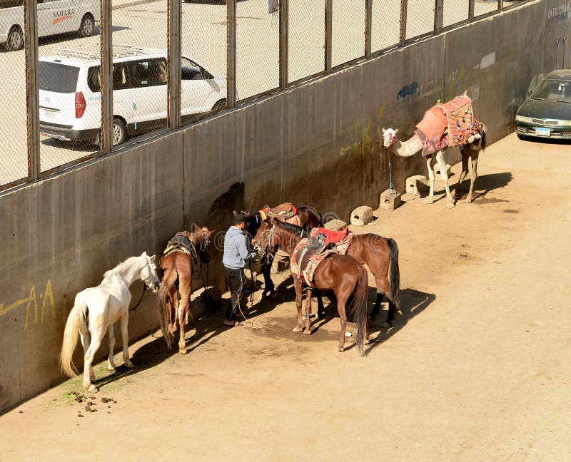 Martin Applegate (Martinapplegate) - Photographer profile