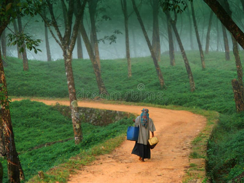 Life in the rubber estate stock image. Image of plantation - 7080049