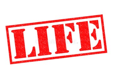 Life Stories Biography Stock Illustrations – 84 Life Stories Biography ...