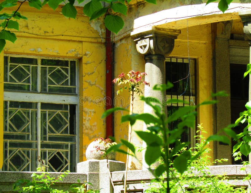 Life in ruin stock photo. Image of sofia, glass, leaves - 95437766