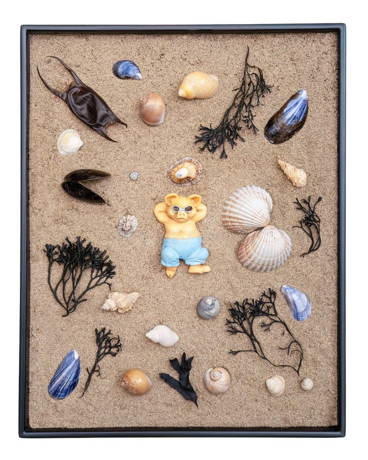Life S a Beach - Flat Lay Image with Bear, Seashells, Sand and Seaweed ...