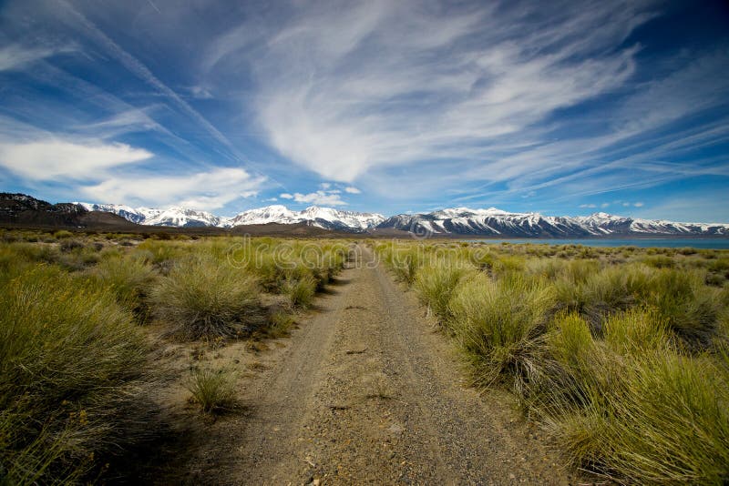 Life s Uncertain Track stock photo. Image of path, green - 19420376