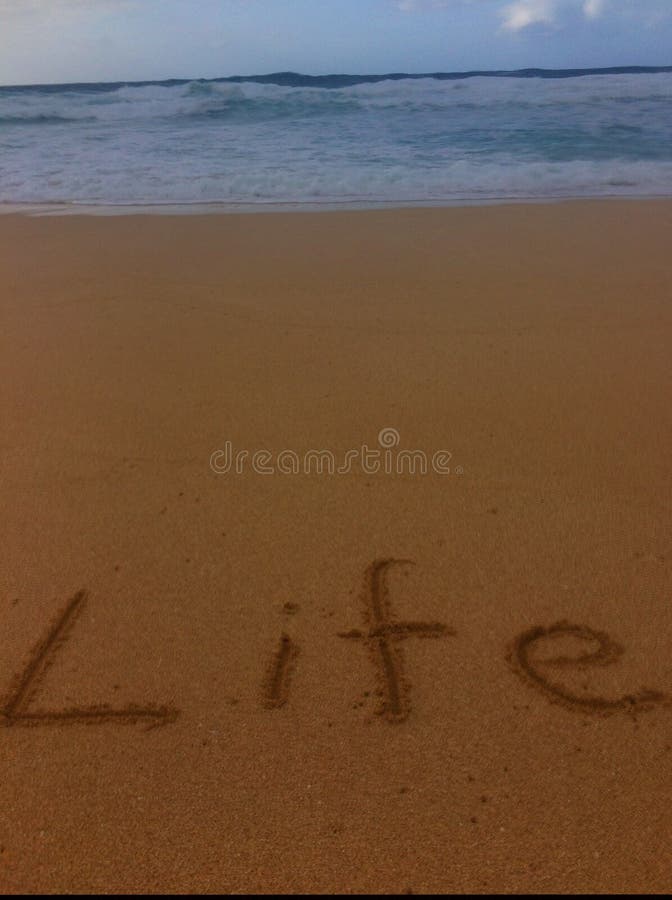 Life in the sand stock photo. Image of ocean, words, command - 50112412