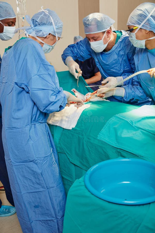 Life Saving Surgeons Hard at Work. a Team of Surgeons Performing a ...