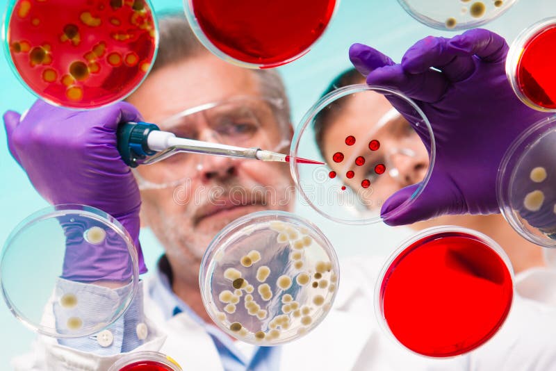 Life science stock photo. Image of glass, biology, glove - 28709046