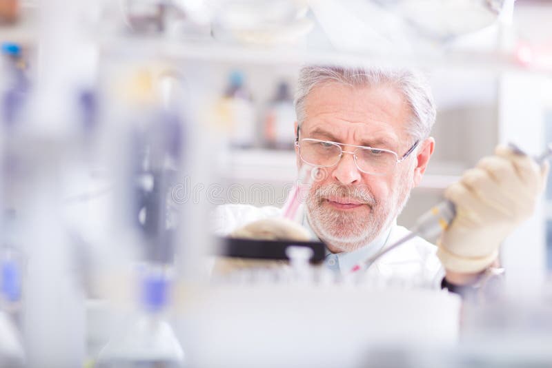 Life Scientist Researching in the Laboratory. Stock Image - Image of ...