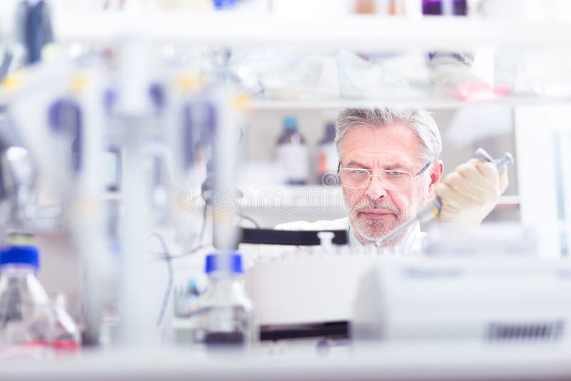 Life Scientist Researching in the Laboratory. Stock Image - Image of ...