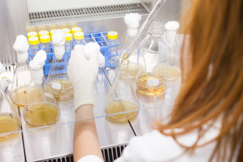 Life Scientist Researching in the Laboratory. Stock Photo - Image of ...