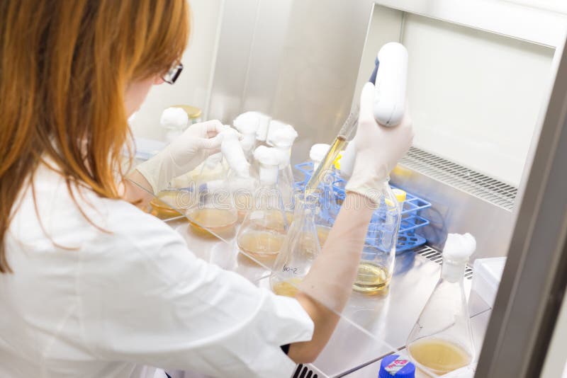 Life Scientist Researching in the Laboratory. Stock Image - Image of ...