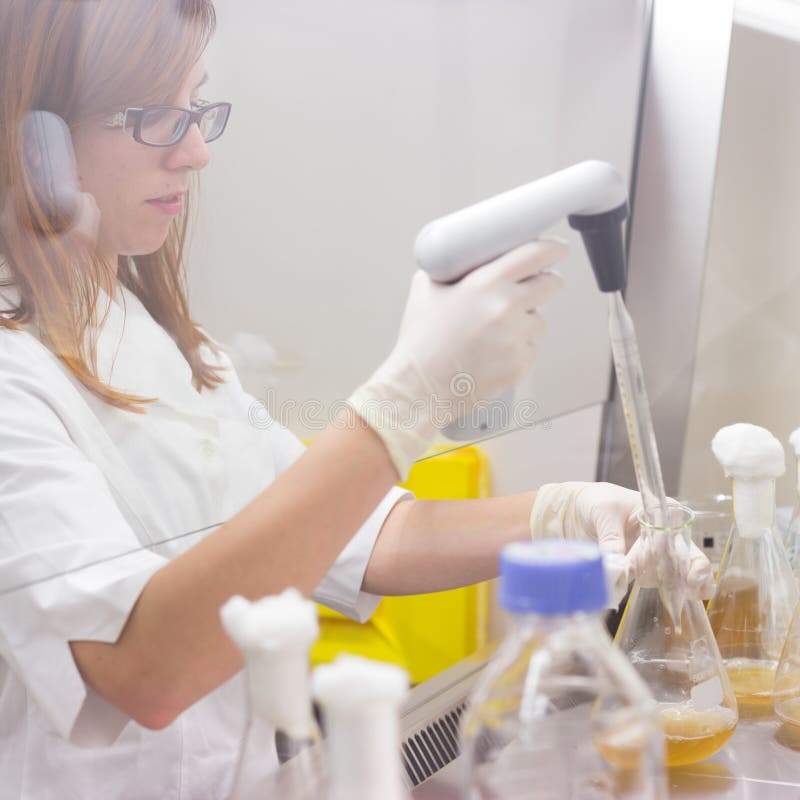 Life Scientist Researching in the Laboratory. Stock Image - Image of ...