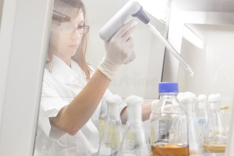 Life Scientist Researching in the Laboratory. Stock Photo - Image of ...