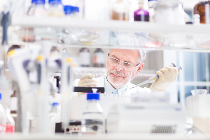 Life Scientist Researching in the Laboratory. Stock Image - Image of ...