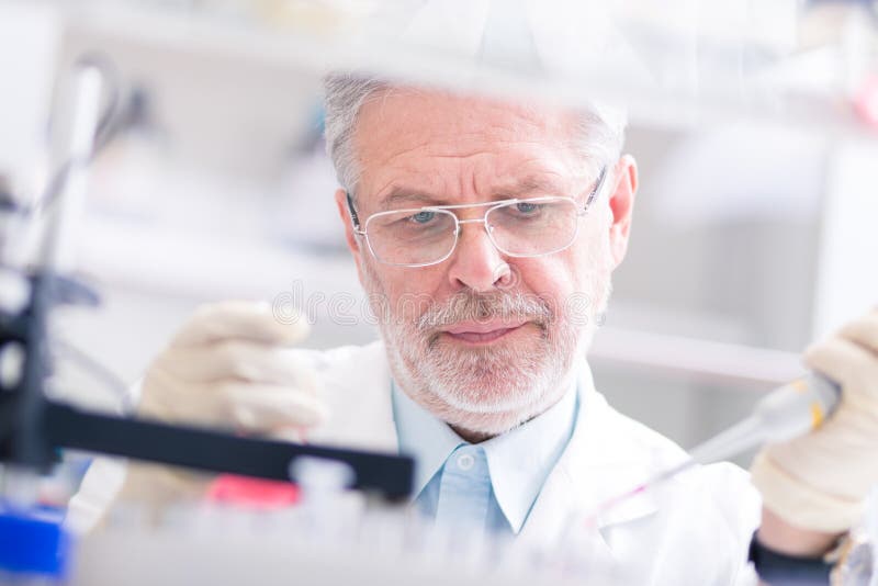 Life Scientist Researching in the Laboratory. Stock Image - Image of ...