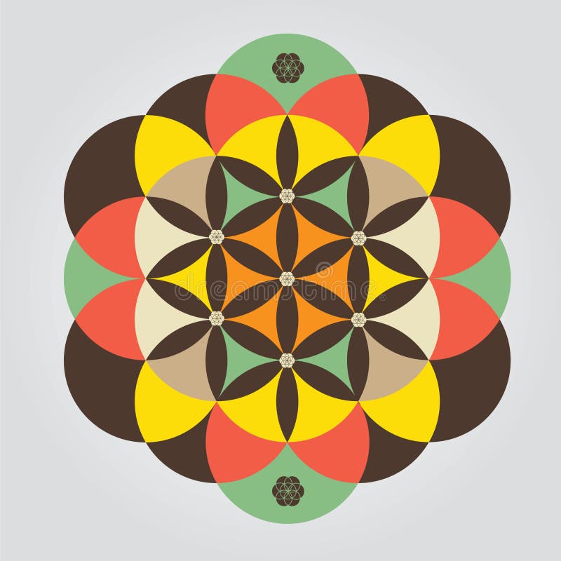 Life Seed Elements Collection Stock Vector - Illustration of circle ...