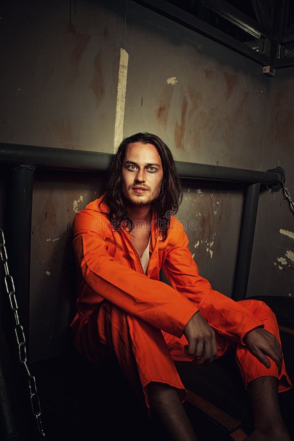 Life sentence stock image. Image of caught, locked, cage - 55332487