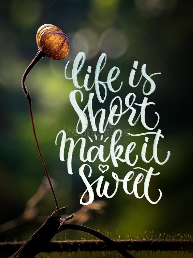 Life is Too Short. Quote for Life in Vintage Style Background.â ...