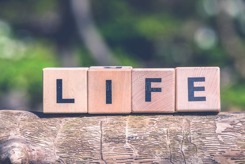 Life Sign in Natural Environment Stock Photo - Image of earth, forest ...