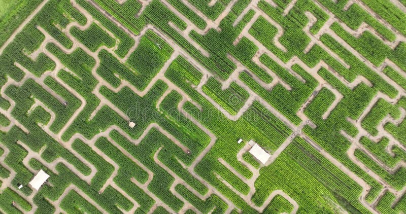 Life Size Natural Labyrinth. Maze Navigation and Finding Solutions ...