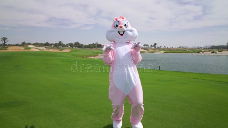 Life Size Rabbit Going Crazy, Having Fun, Celebrates Easter. Happy ...