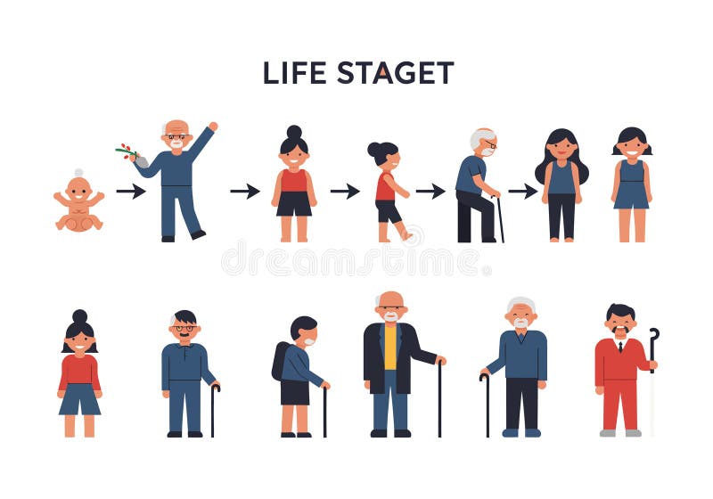 Life Stages: Flat Vector Illustration Stock Vector - Illustration of ...