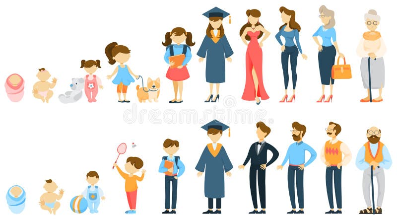 Body Growing Stages Human Body Stock Illustrations – 237 Body Growing ...