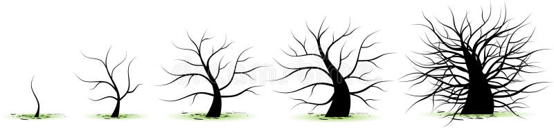 Life stages of tree stock vector. Illustration of evolution - 12907150