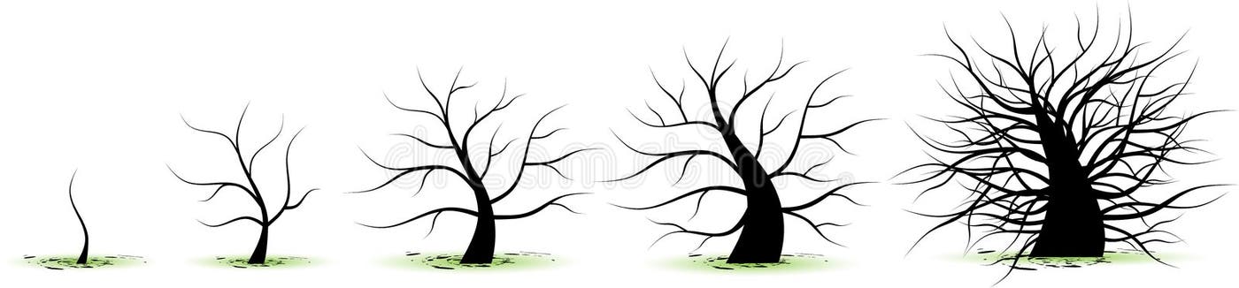 Tree Life Evolution Stock Illustrations – 1,968 Tree Life Evolution ...
