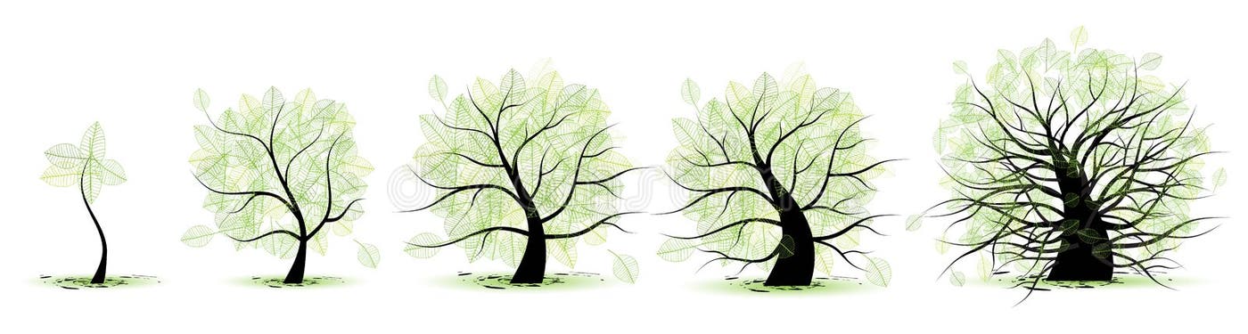 Tree Life Evolution Stock Illustrations – 2,081 Tree Life Evolution ...