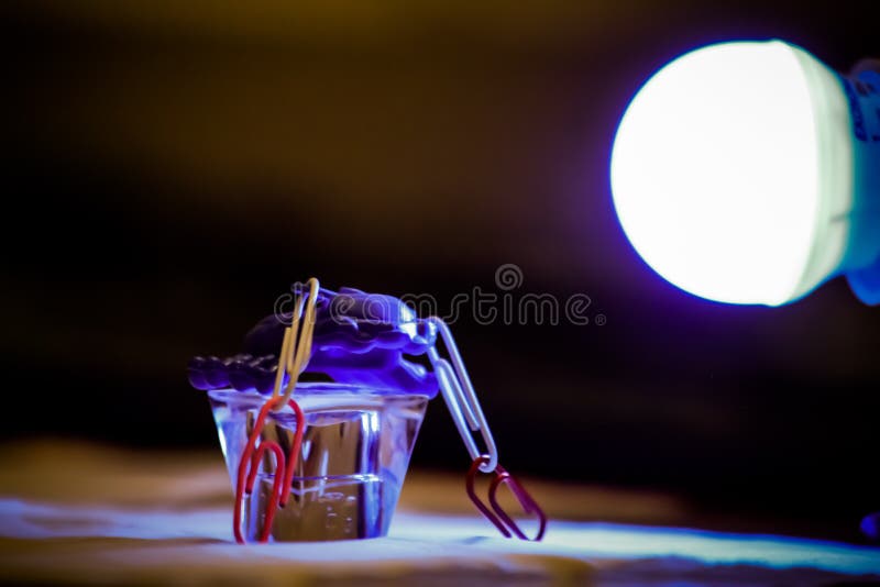 Tunight Stock Photos - Free & Royalty-Free Stock Photos from Dreamstime