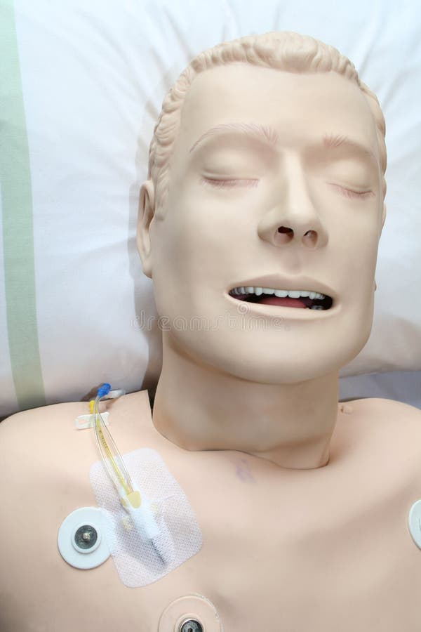Life Support Dummy stock photo. Image of blood, dummy - 1349714