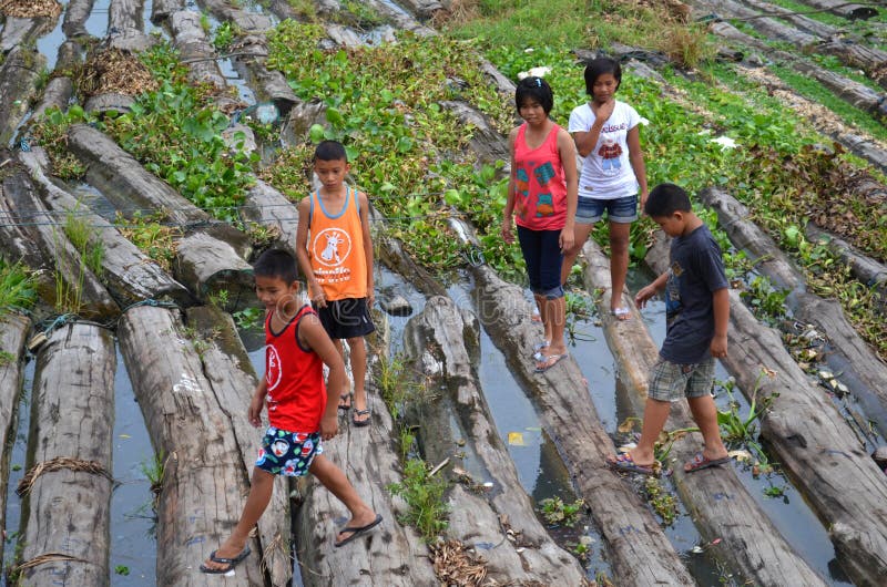 Life on timber editorial stock photo. Image of girls - 24196053