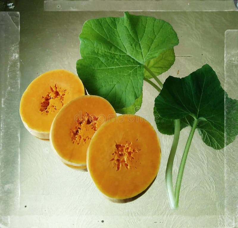 From the Life Vegetables Pumpkiu and Listia Stock Image - Image of ...