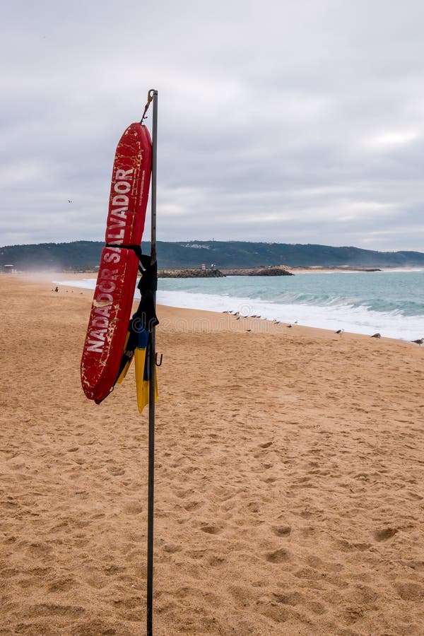 Lifeguard buoy stock photo. Image of coastal, portugal - 144206498