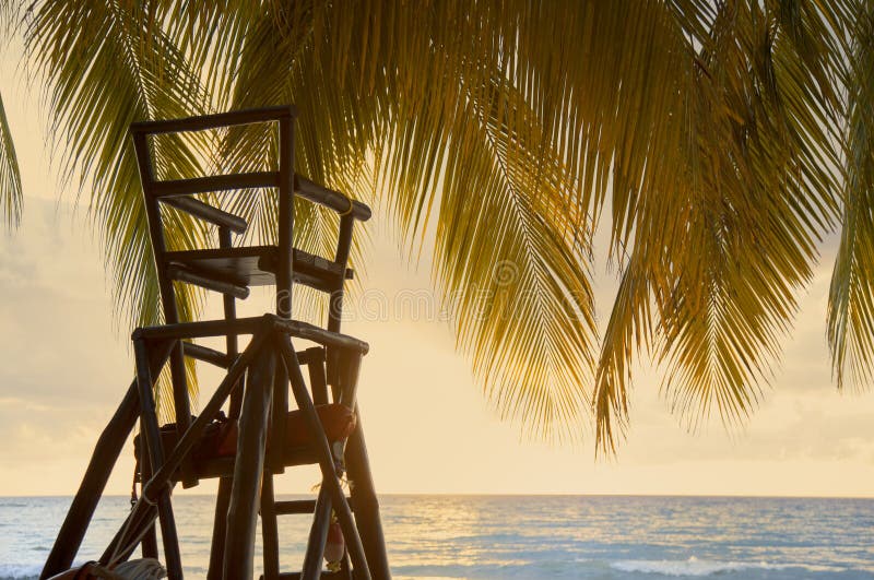 Lifeguard Post Overlooking Ocean Under Palm Tree with Filtered E Stock ...
