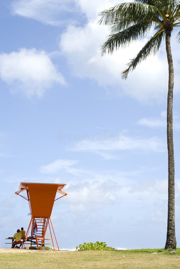 Lifeguards, Hawaii stock image. Image of protection, pair - 4687001