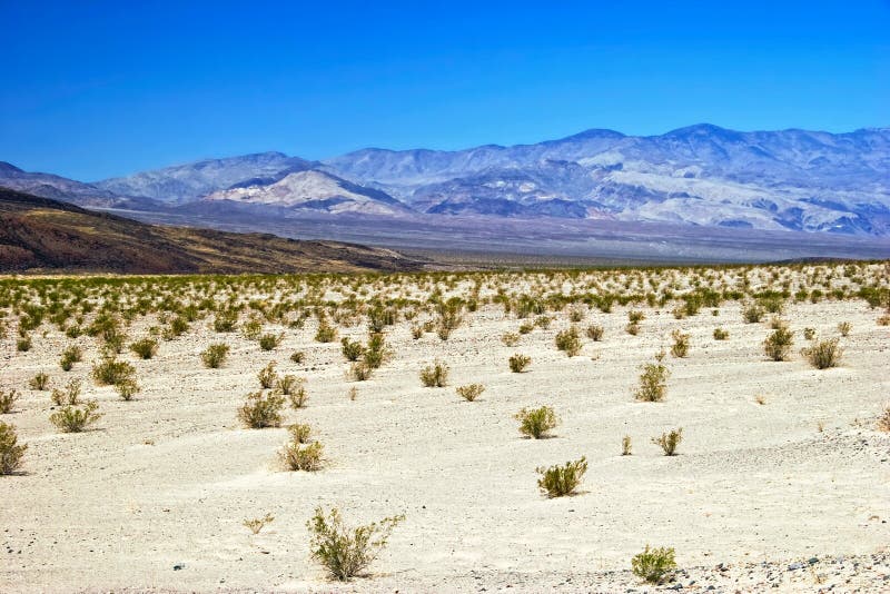 Lifeless landscape stock image. Image of america, dead - 11744203