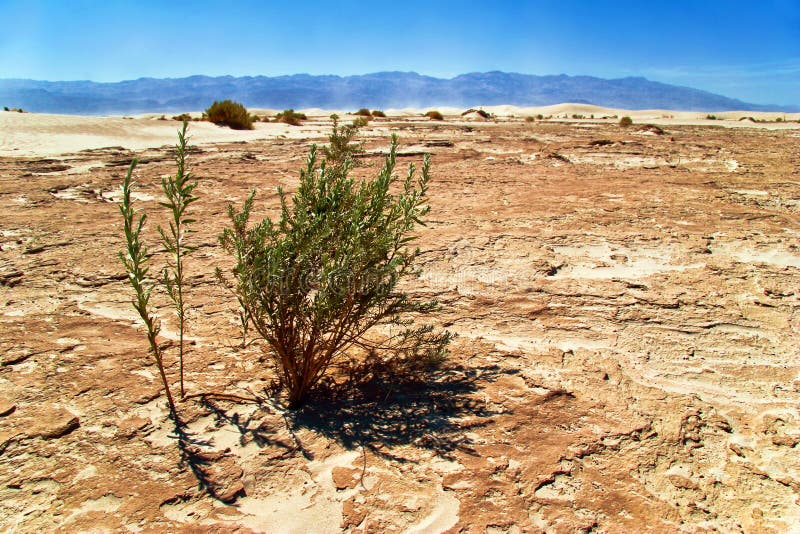 Lifeless landscape stock photo. Image of hill, formation - 12031154